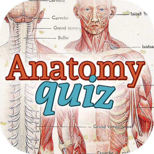 Anatomy Of Human Body Quiz