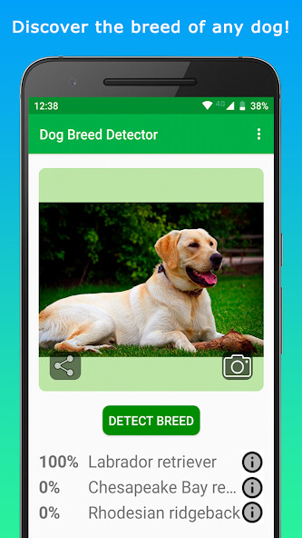DoggyApp - Identify Dog Breeds